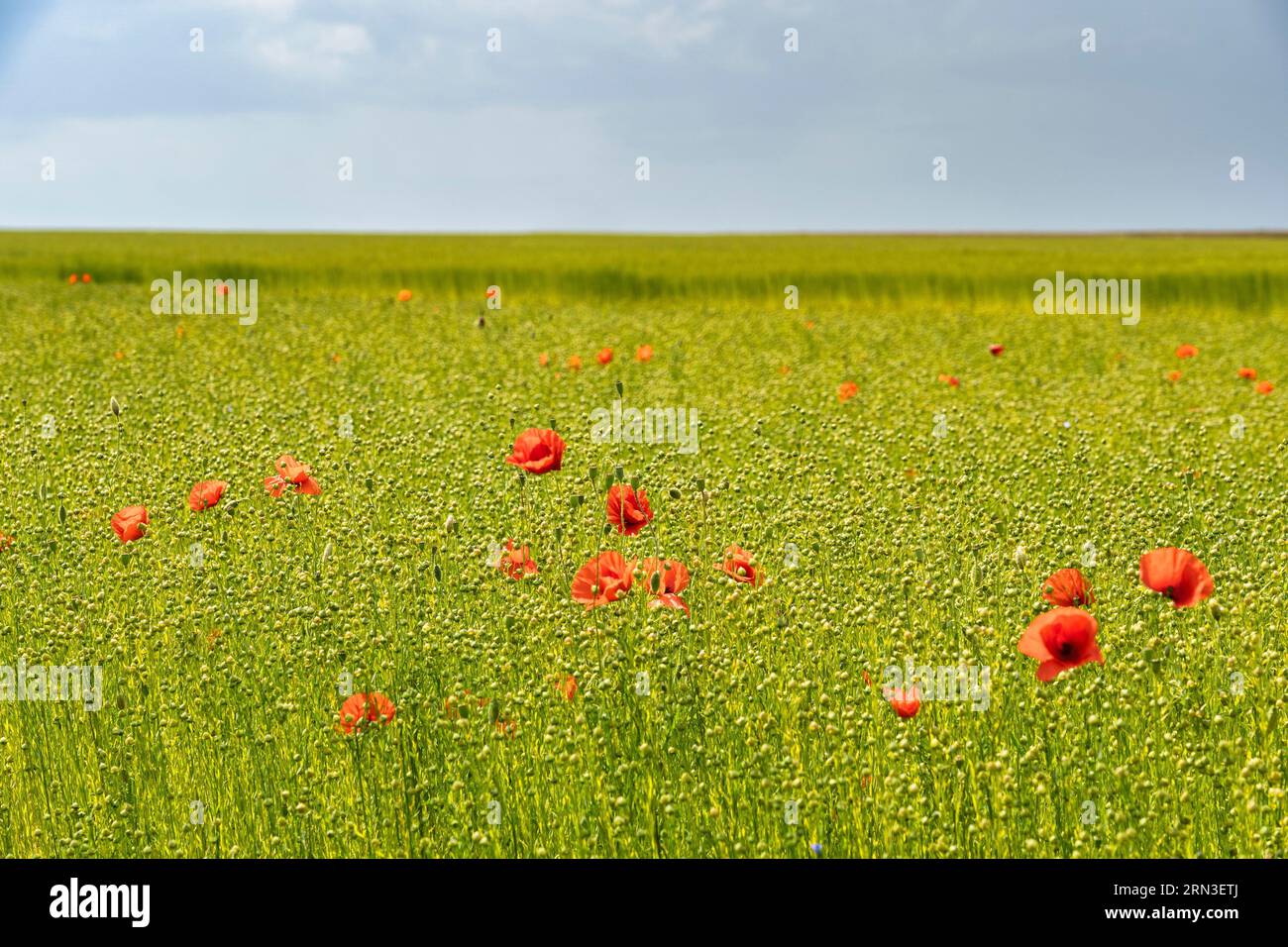 Saint pierre le viger hi-res stock photography and images - Alamy