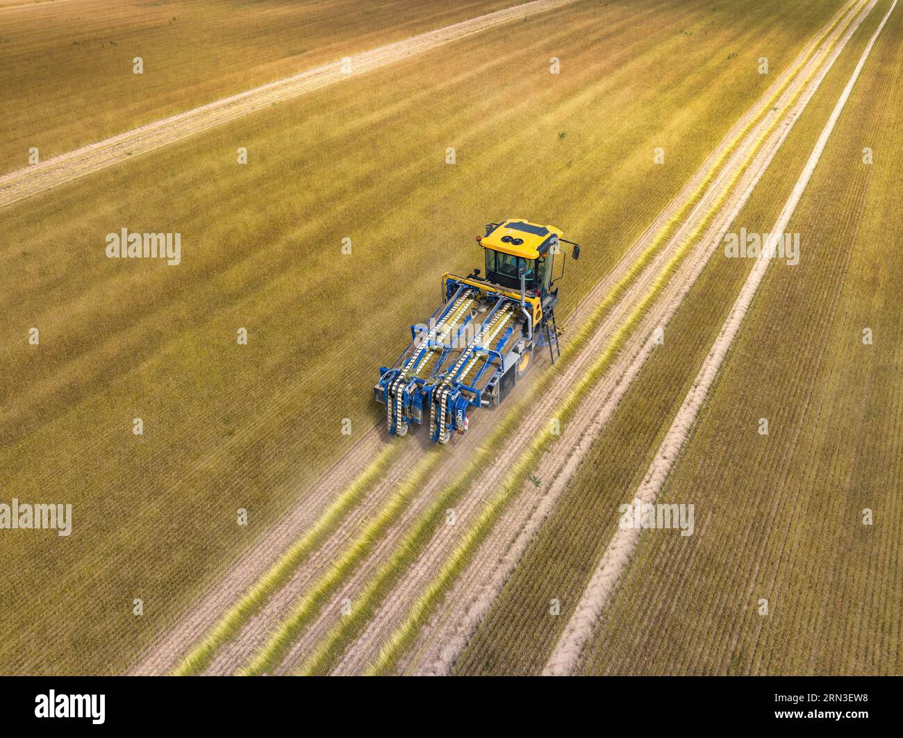 France, Eure, Bourg Achard, flax field, flax harvesting, Union machines ...