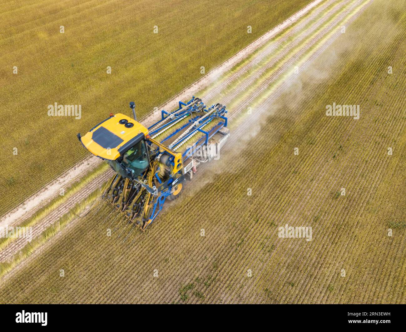 France, Eure, Bourg Achard, flax field, flax harvesting, Union machines ...