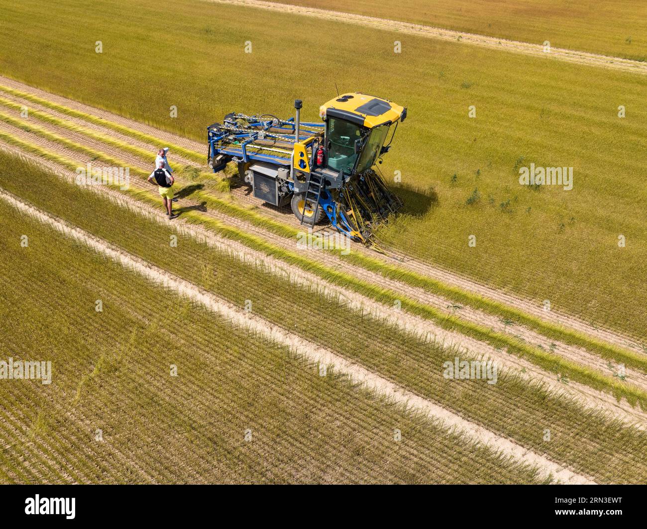 Harvesting flax hi-res stock photography and images - Alamy
