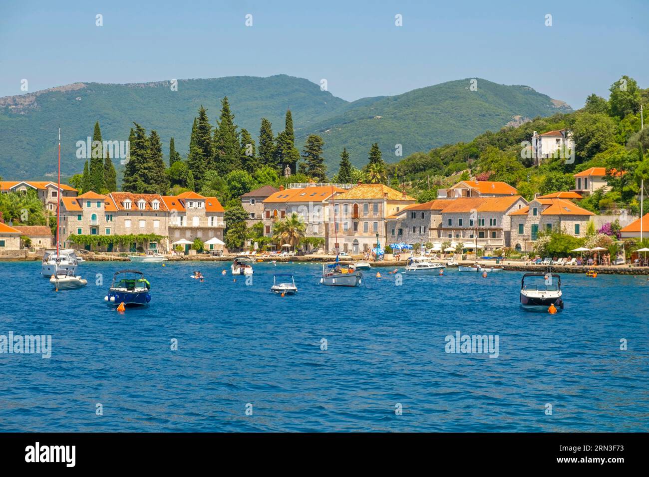 Rose montenegro hi-res stock photography and images - Alamy