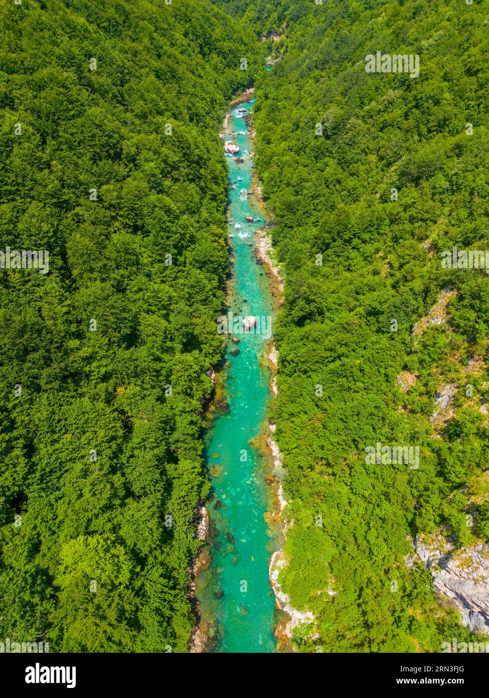 Tara River 600 X 422