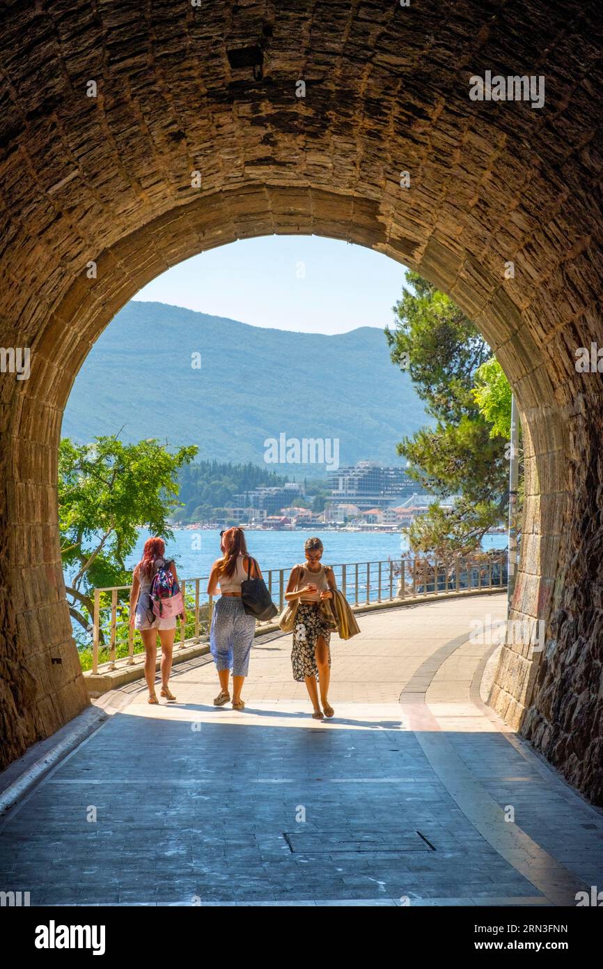 Pet danica hi-res stock photography and images - Alamy