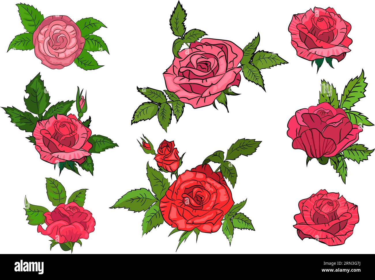 Set of red roses on isolated background Stock Vector Image & Art - Alamy