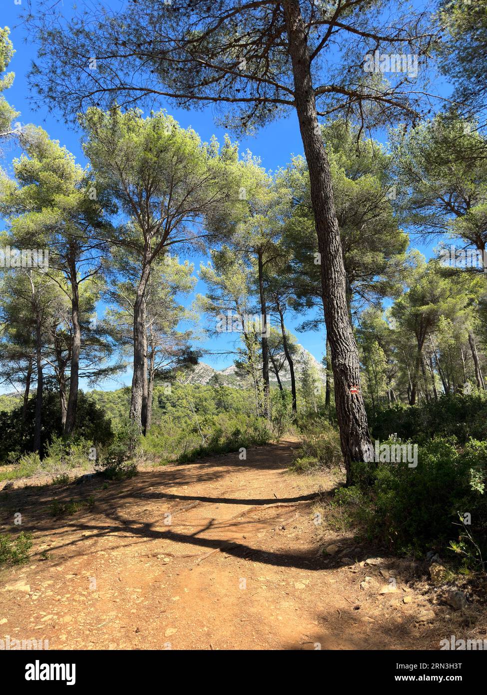 Hiking trail in Luberon Provence South France Stock Photo - Alamy
