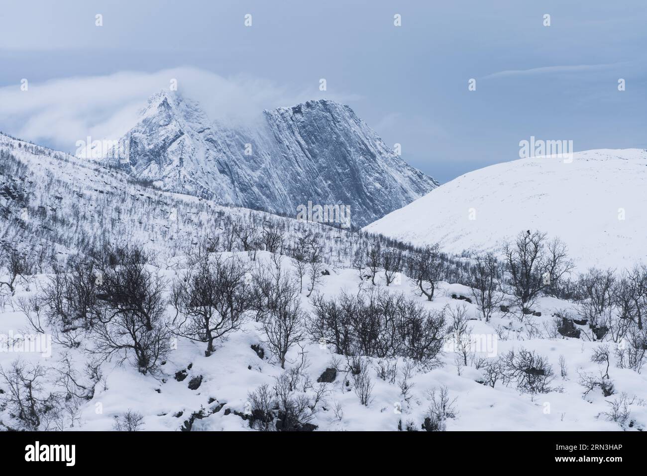 Amazing Winter conditions on the Norwegian coast at Fjordbotn, Senja ...