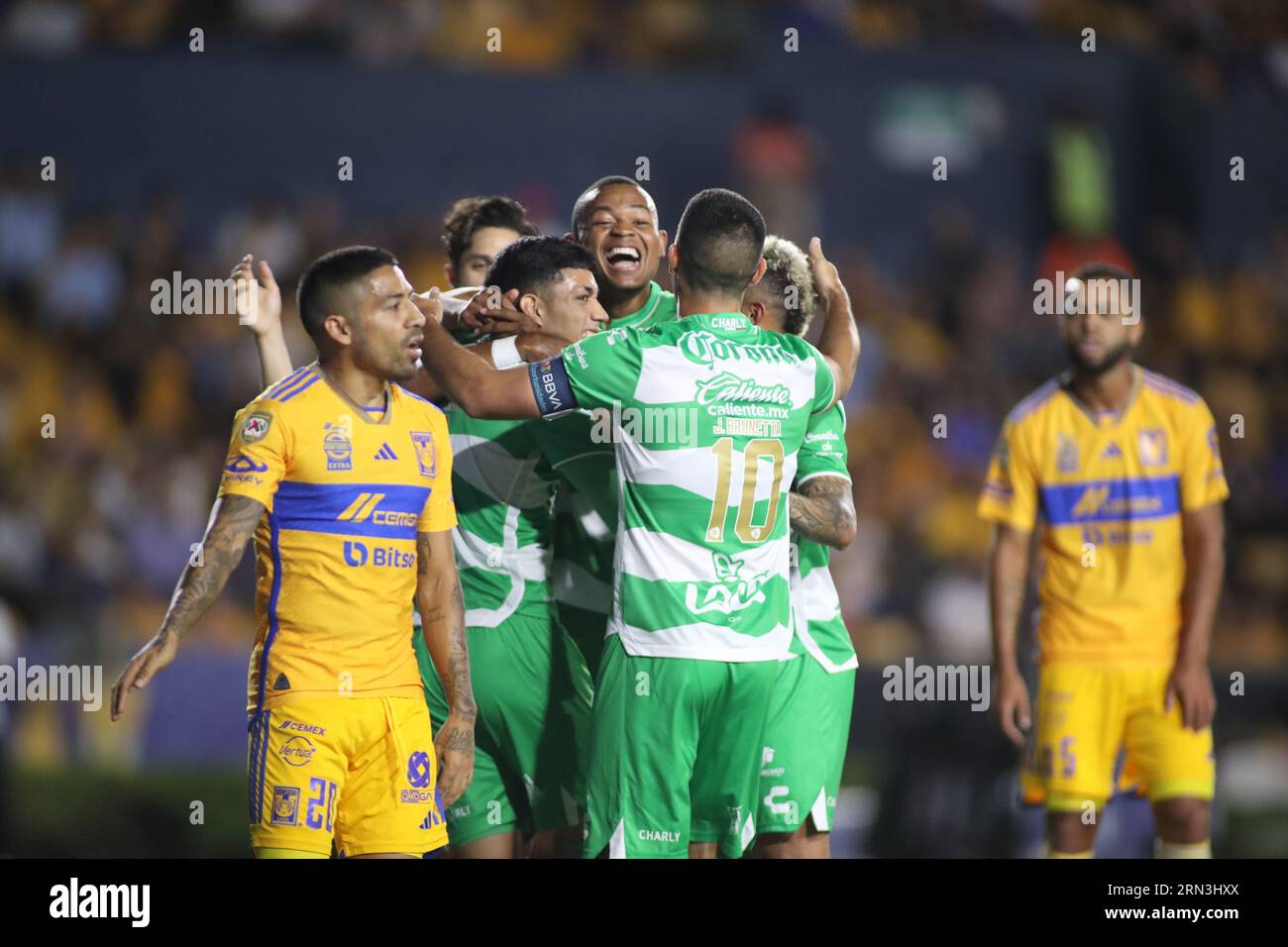 Tigres uanl liga mx hi-res stock photography and images - Alamy
