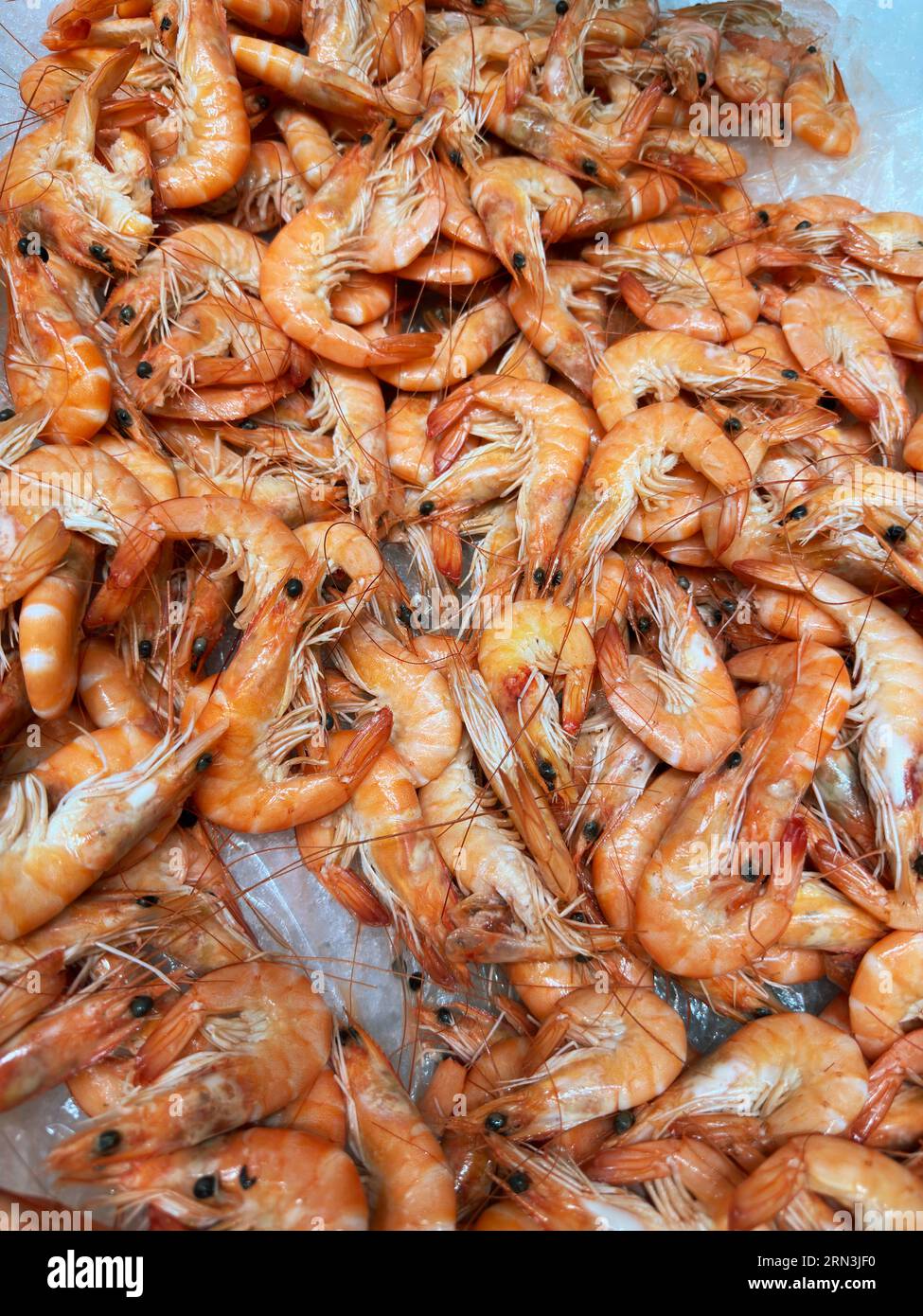 Shrimp stalls hi-res stock photography and images - Alamy