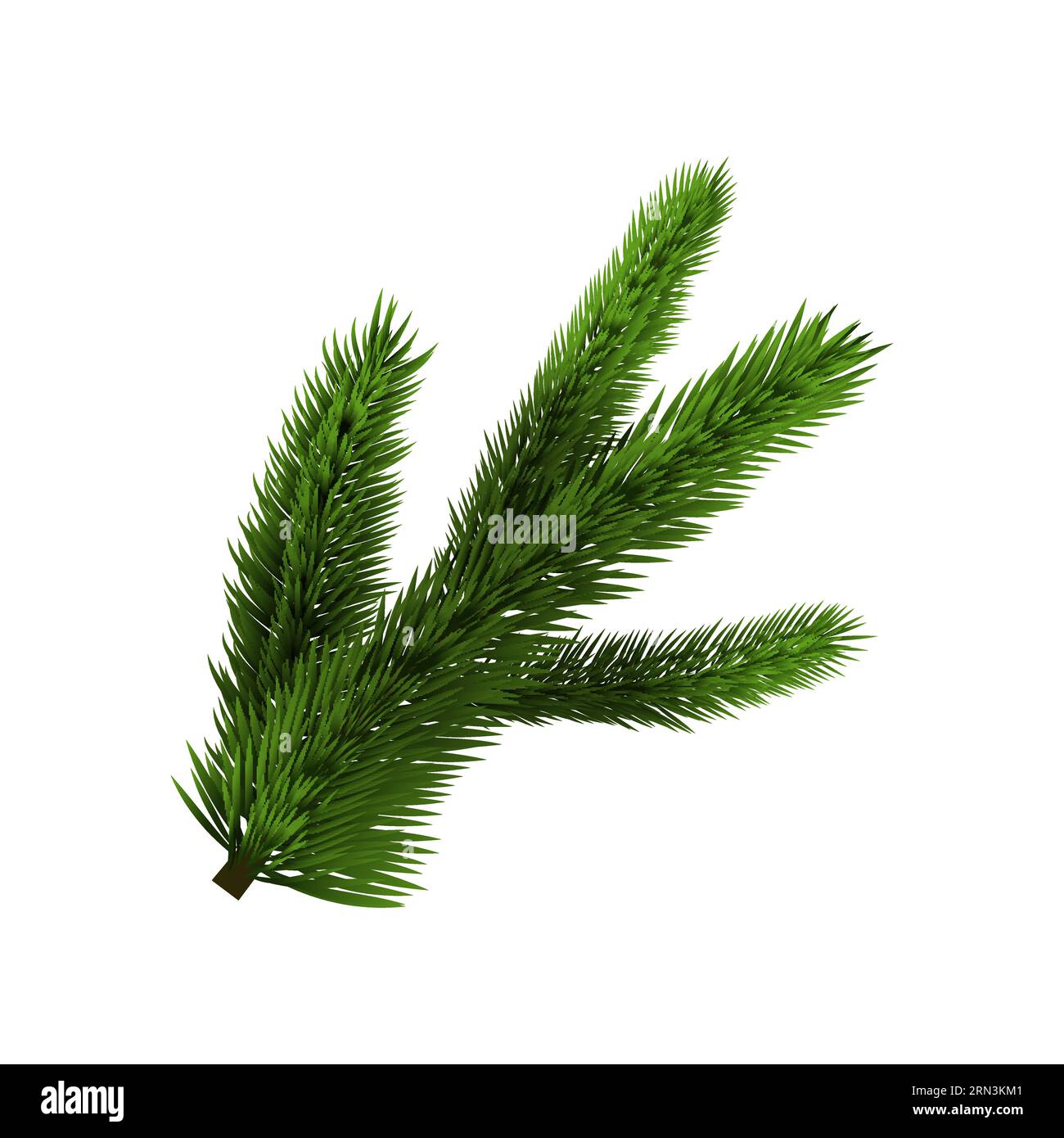 Green fir tree branch illustration Stock Vector Image & Art - Alamy