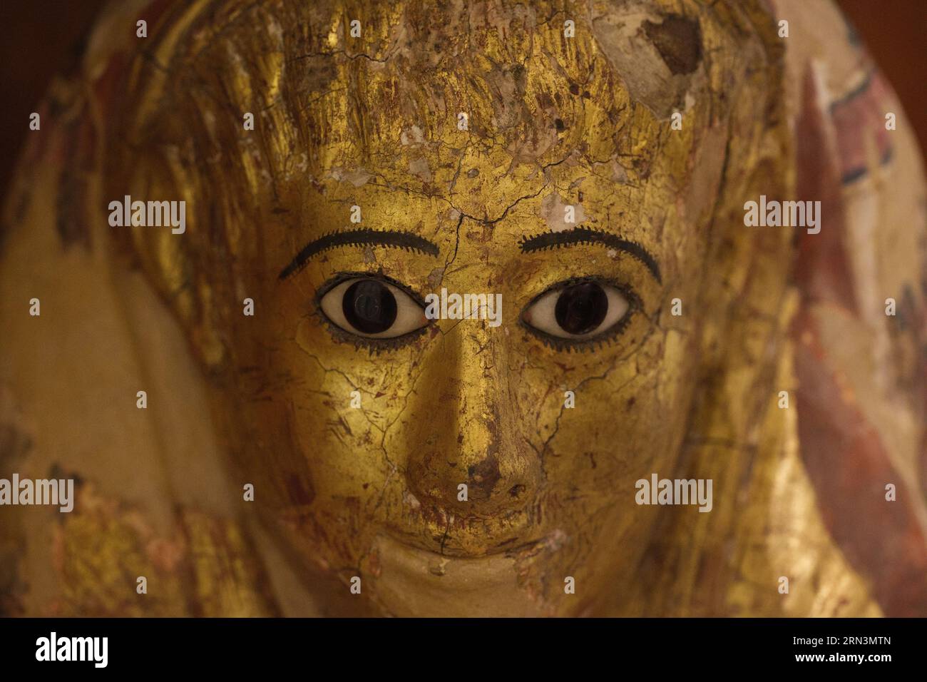 Egyptian artefacts on display at the Petrie Museum - London Stock Photo ...