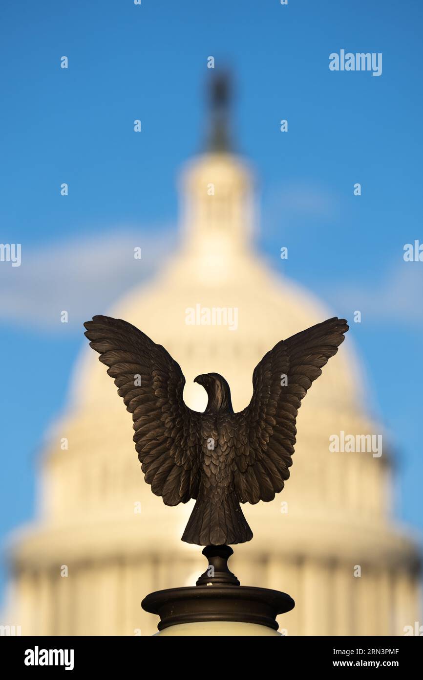 United States Capitol Dome Eagle Sculpture Washington DC // WASHINGTON ...