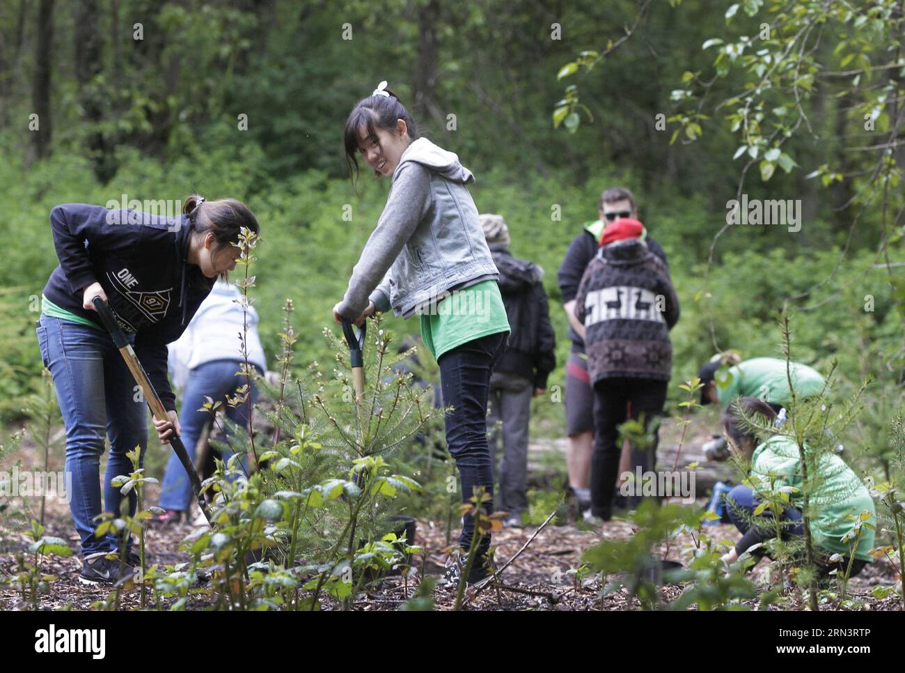 Residents help planting trees at Everett Crowley Park in Vancouver ...