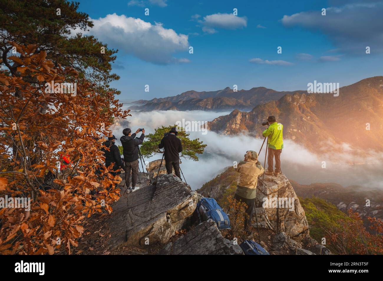 Woraksan national park hi-res stock photography and images - Alamy