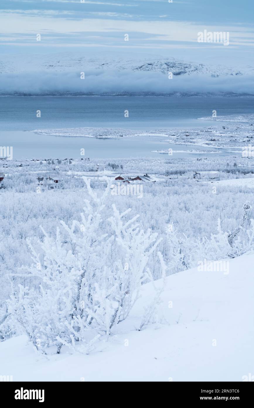 Deep Winter conditions at Abisko, Northern Sweden Stock Photo - Alamy