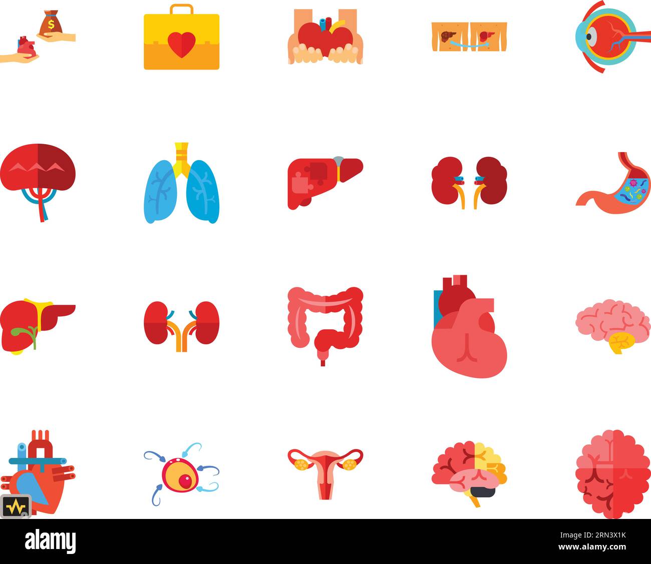 Human organs icon set Stock Vector Image & Art - Alamy