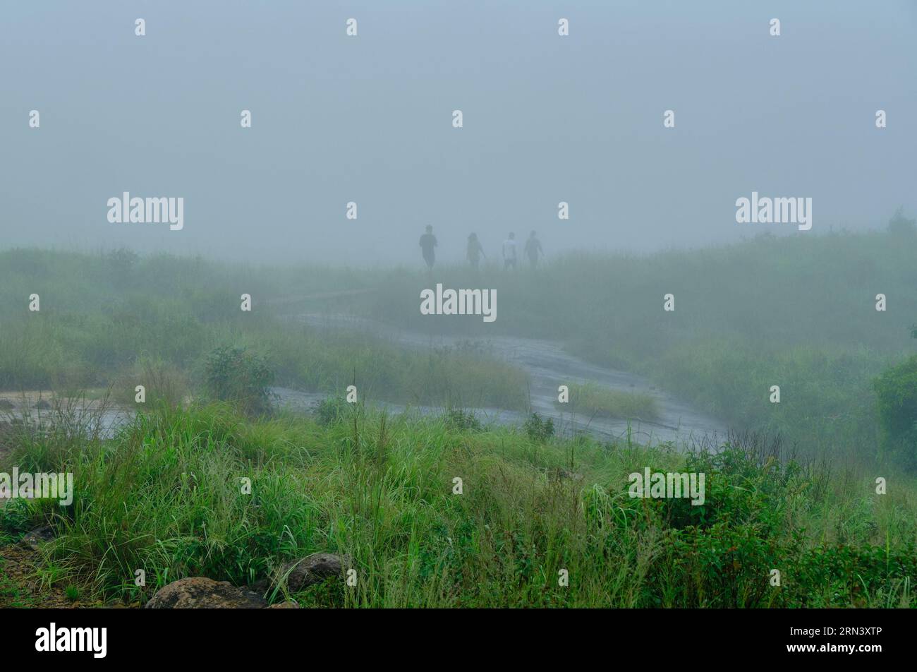 Mist weather hi-res stock photography and images - Alamy