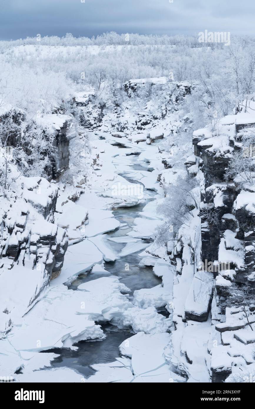 Deep Winter conditions at Abisko, Northern Sweden Stock Photo - Alamy