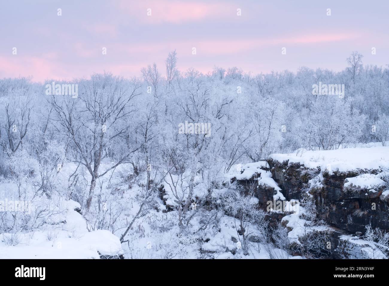 Deep Winter conditions at Abisko, Northern Sweden Stock Photo - Alamy