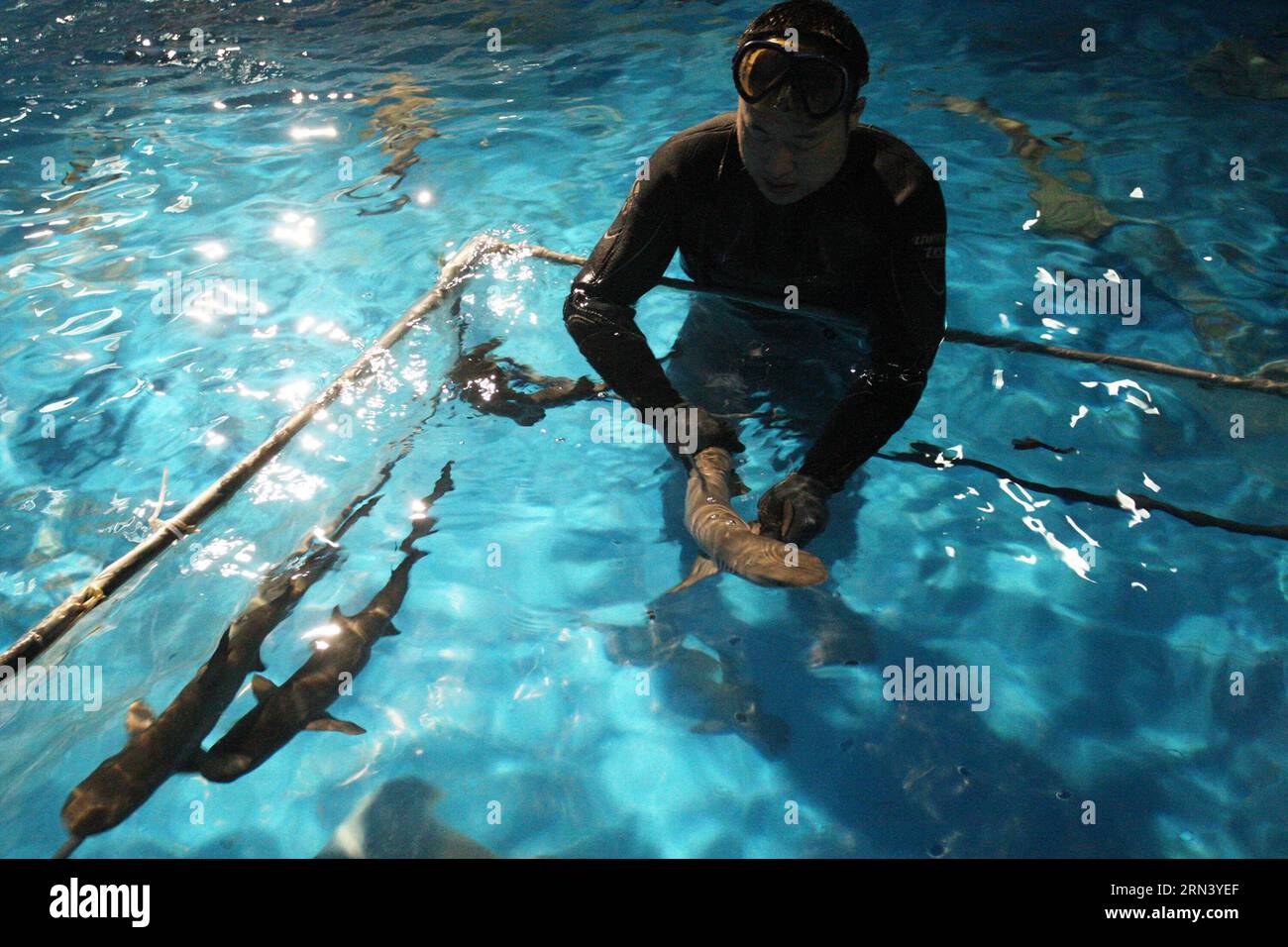 Mt shark hi-res stock photography and images - Alamy