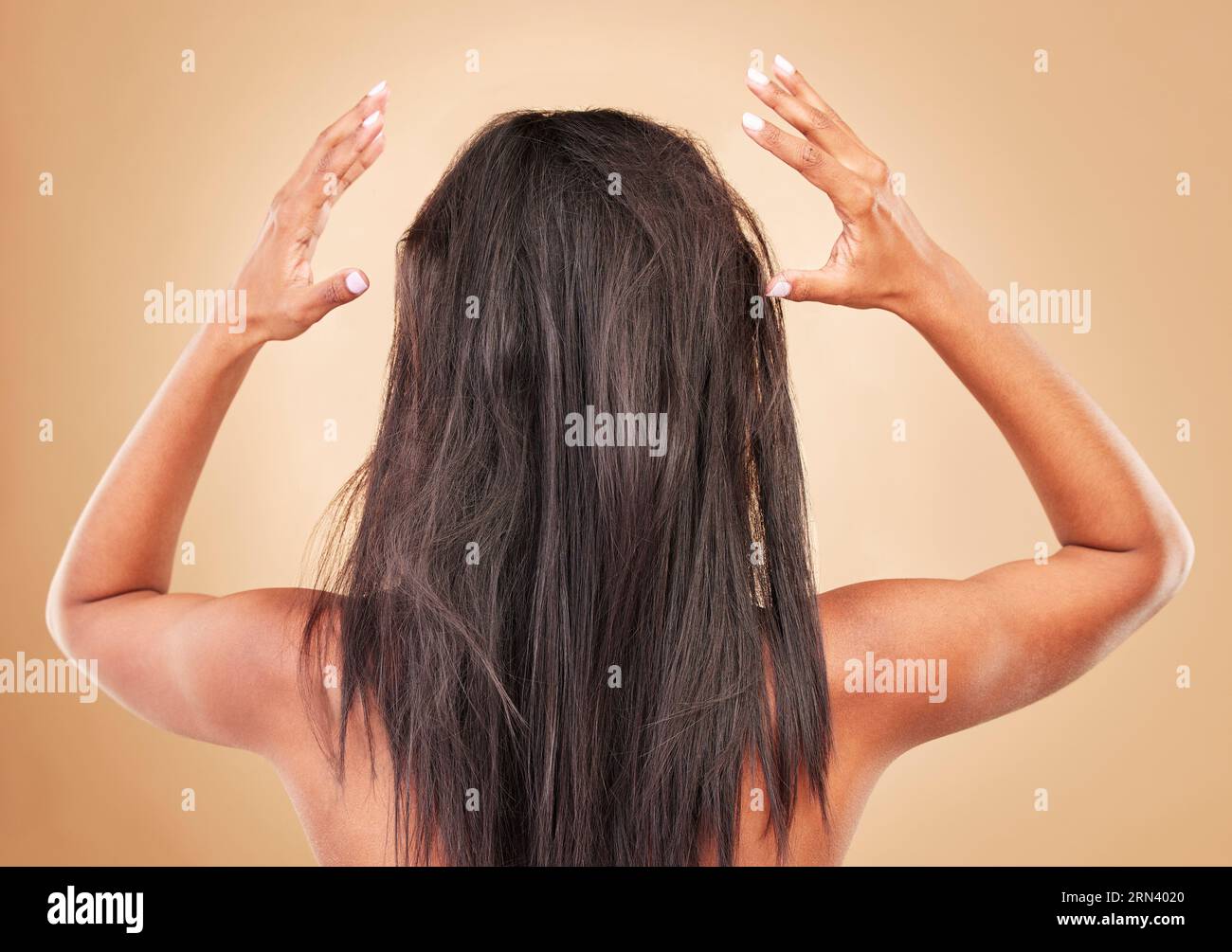 Damaged, hair and back of messy woman in studio, background or haircare ...