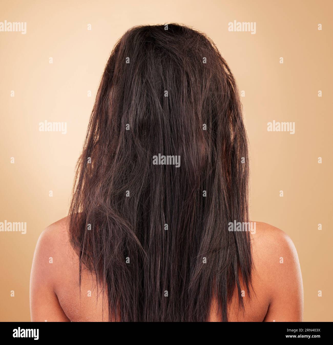 Damaged, hair and back of messy woman in studio, background or haircare ...