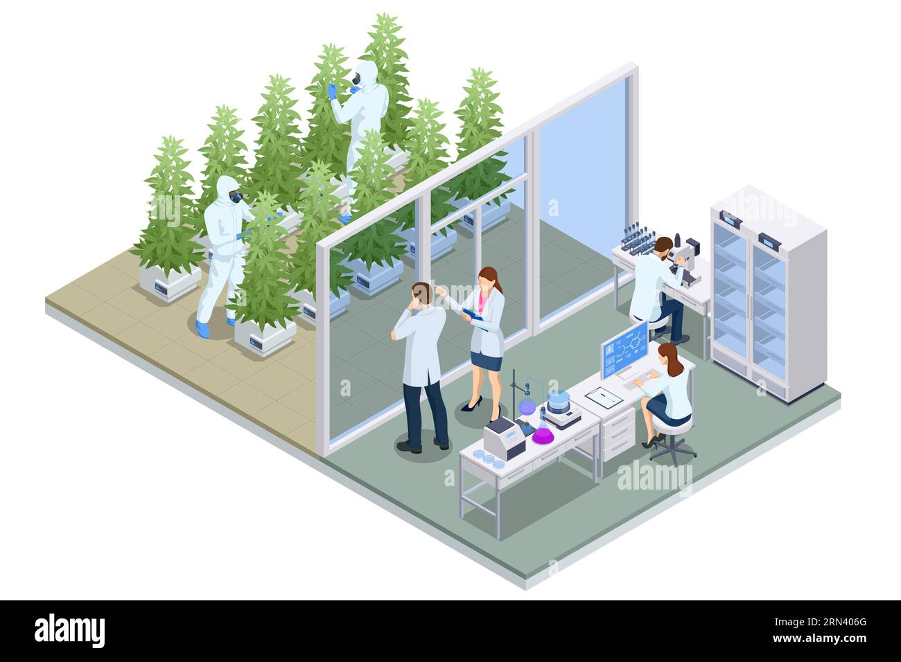 Isometric testing cannabis buds for the extraction of medicinal oil ...