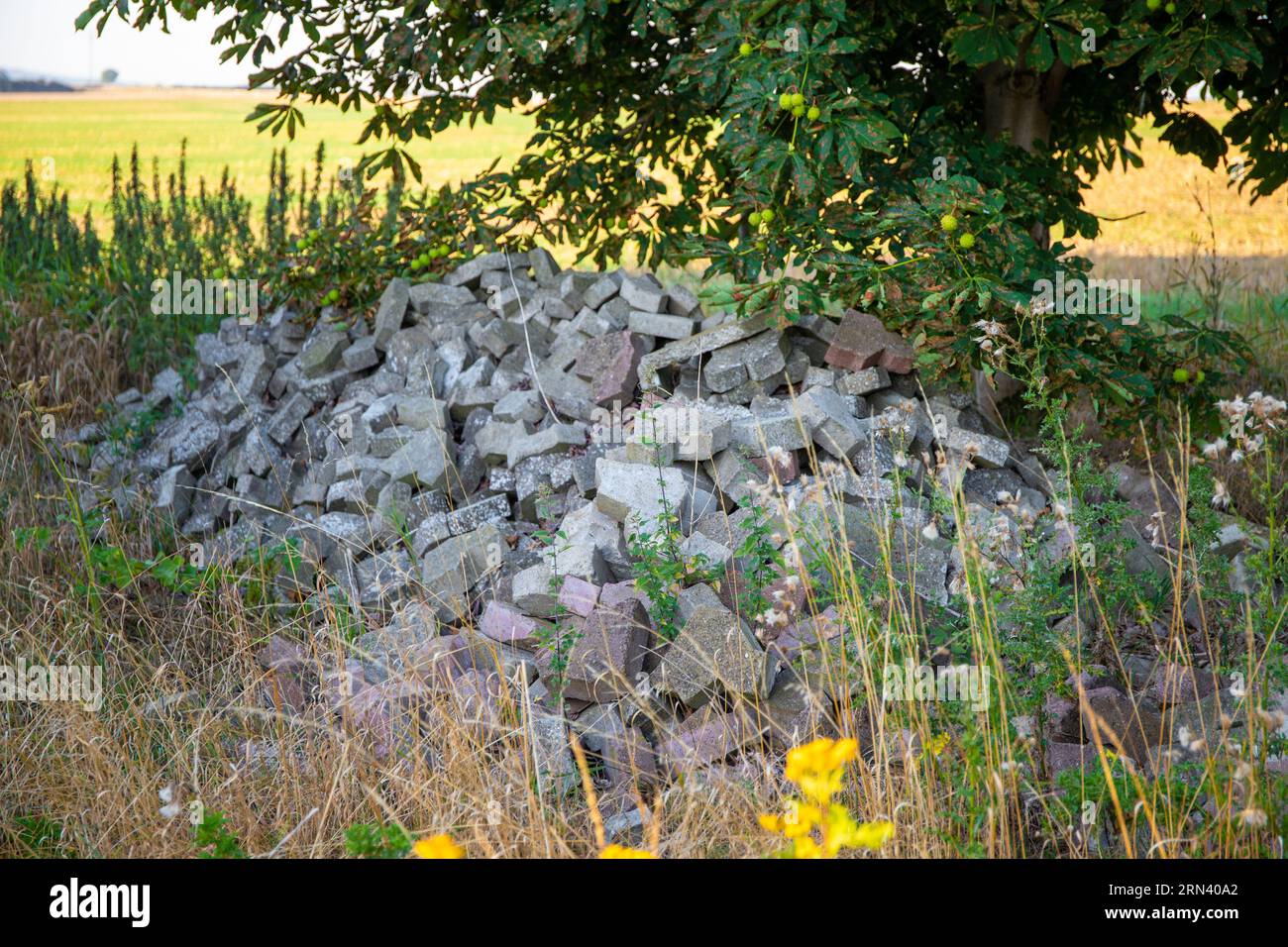 Paving stone pile up under a tree Stock Photo - Alamy