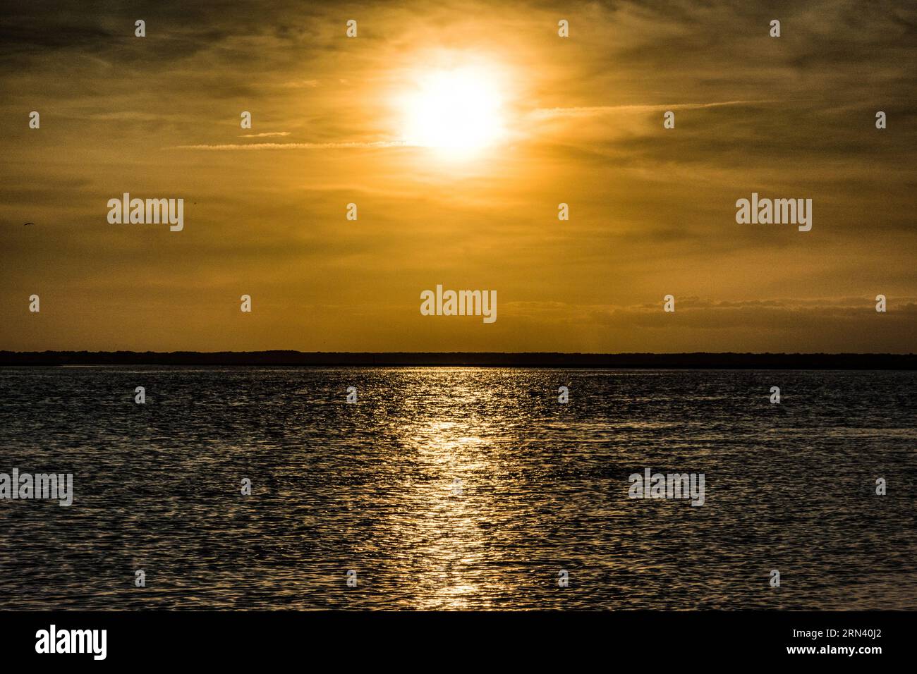 Lowcountry sunset golden hi-res stock photography and images - Alamy