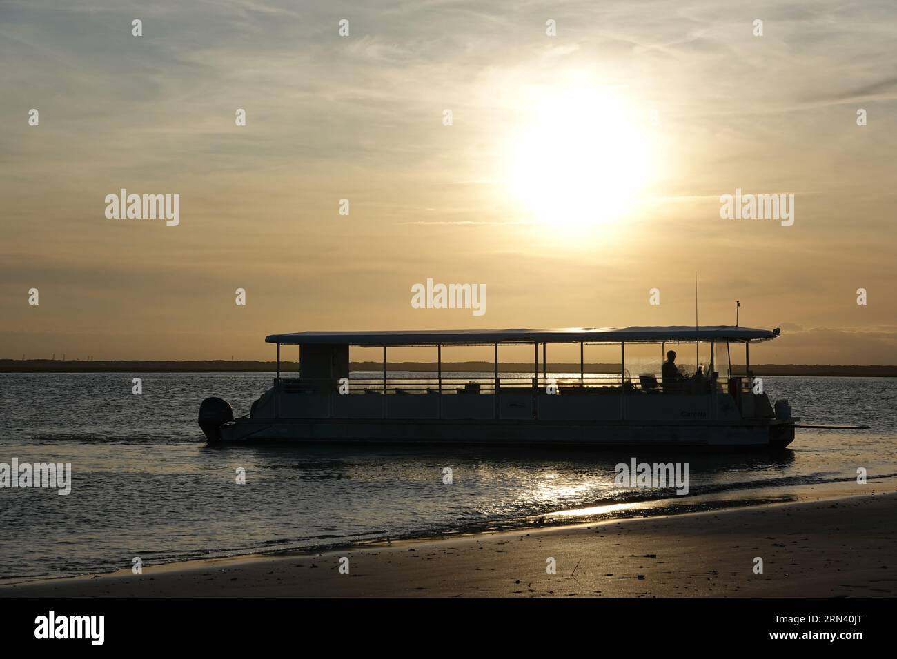 Capers Island Shoreline South Carolina // CAPERS ISLAND, South Carolina ...