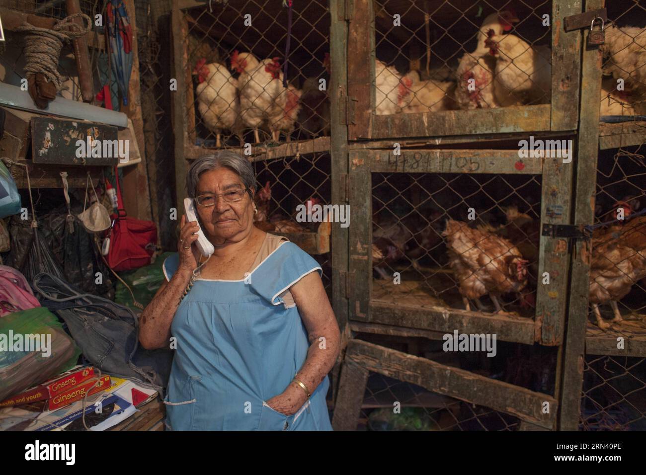 La terminal market hi-res stock photography and images - Alamy