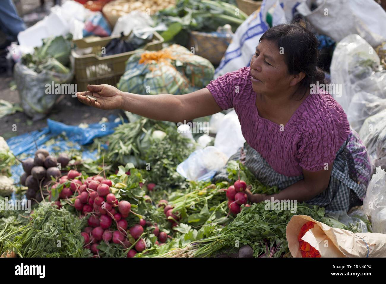 La terminal market hi-res stock photography and images - Alamy