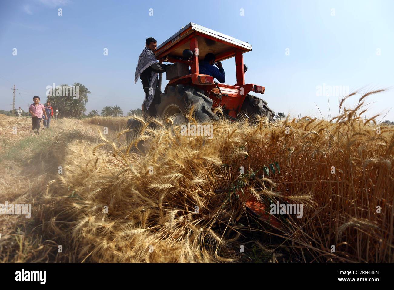 Egyptian farmers hi-res stock photography and images - Alamy