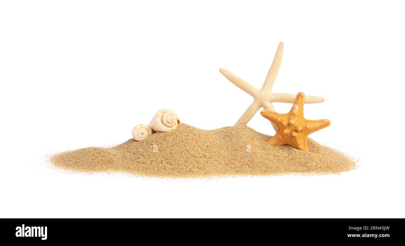 Beautiful sea stars shells hi-res stock photography and images - Alamy