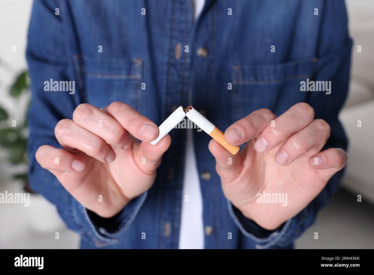 Woman breaking cigarette on blurred background, closeup. Stop smoking ...