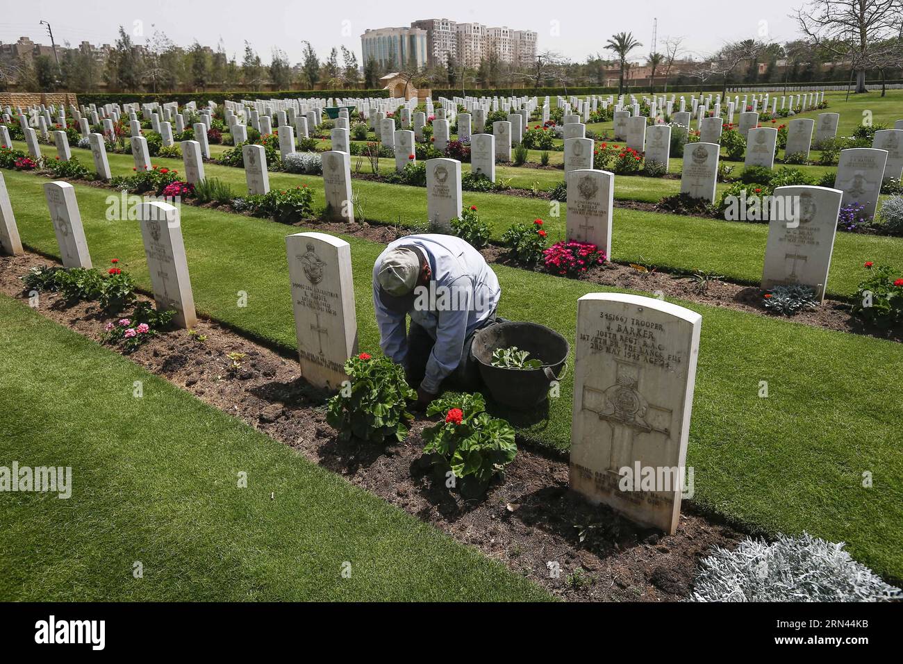 Cairo war memorial cemetery hi-res stock photography and images - Alamy