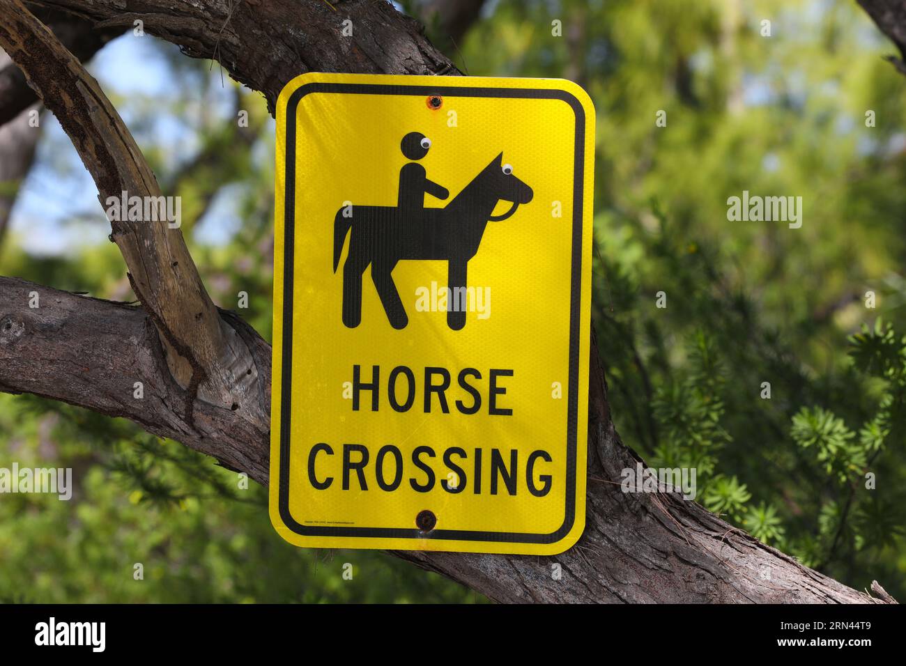 Beware of horses road sign hi-res stock photography and images - Alamy