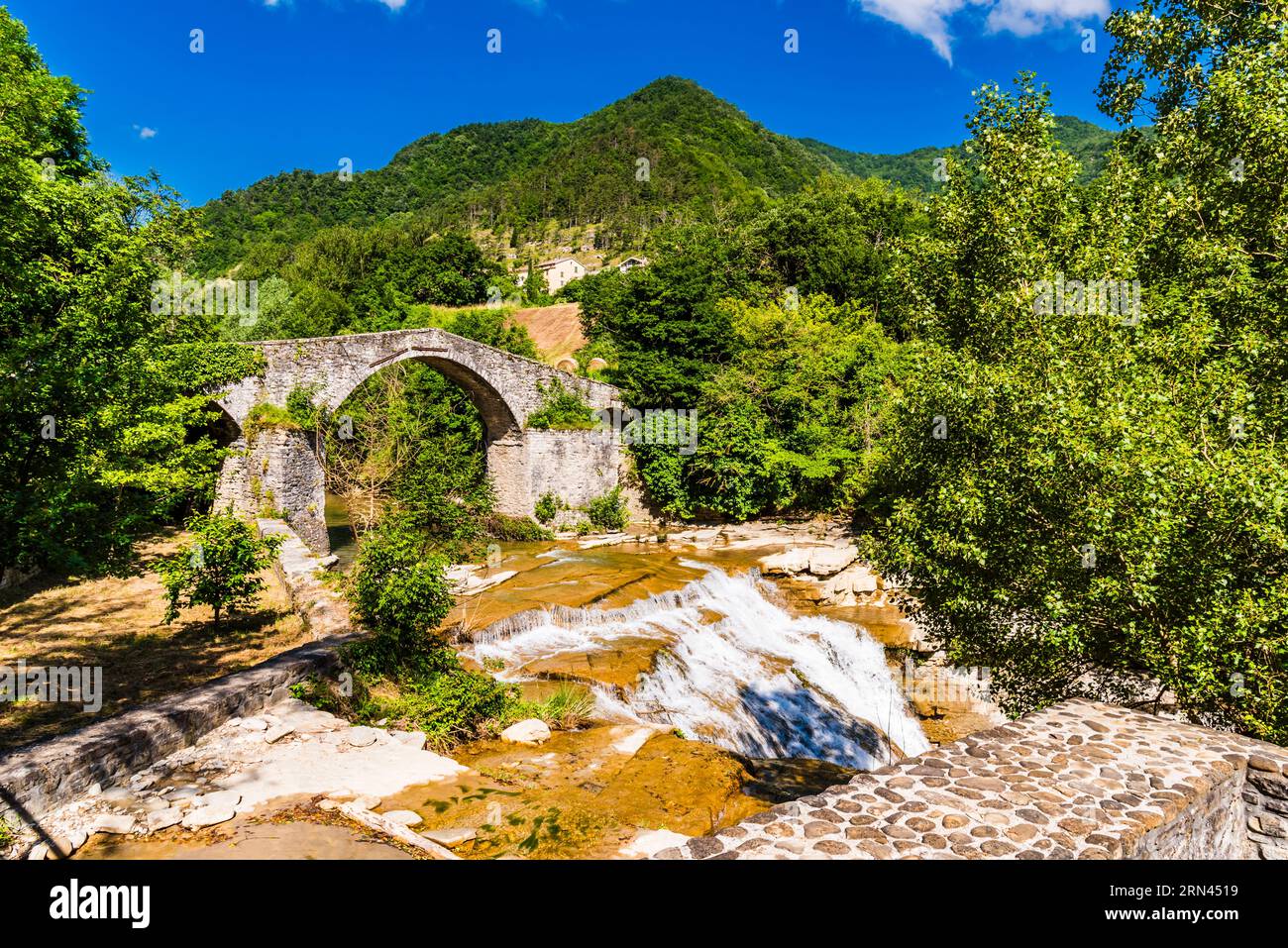 The Ponte della Brusia medieval bridge over the river Fiume Montone at ...