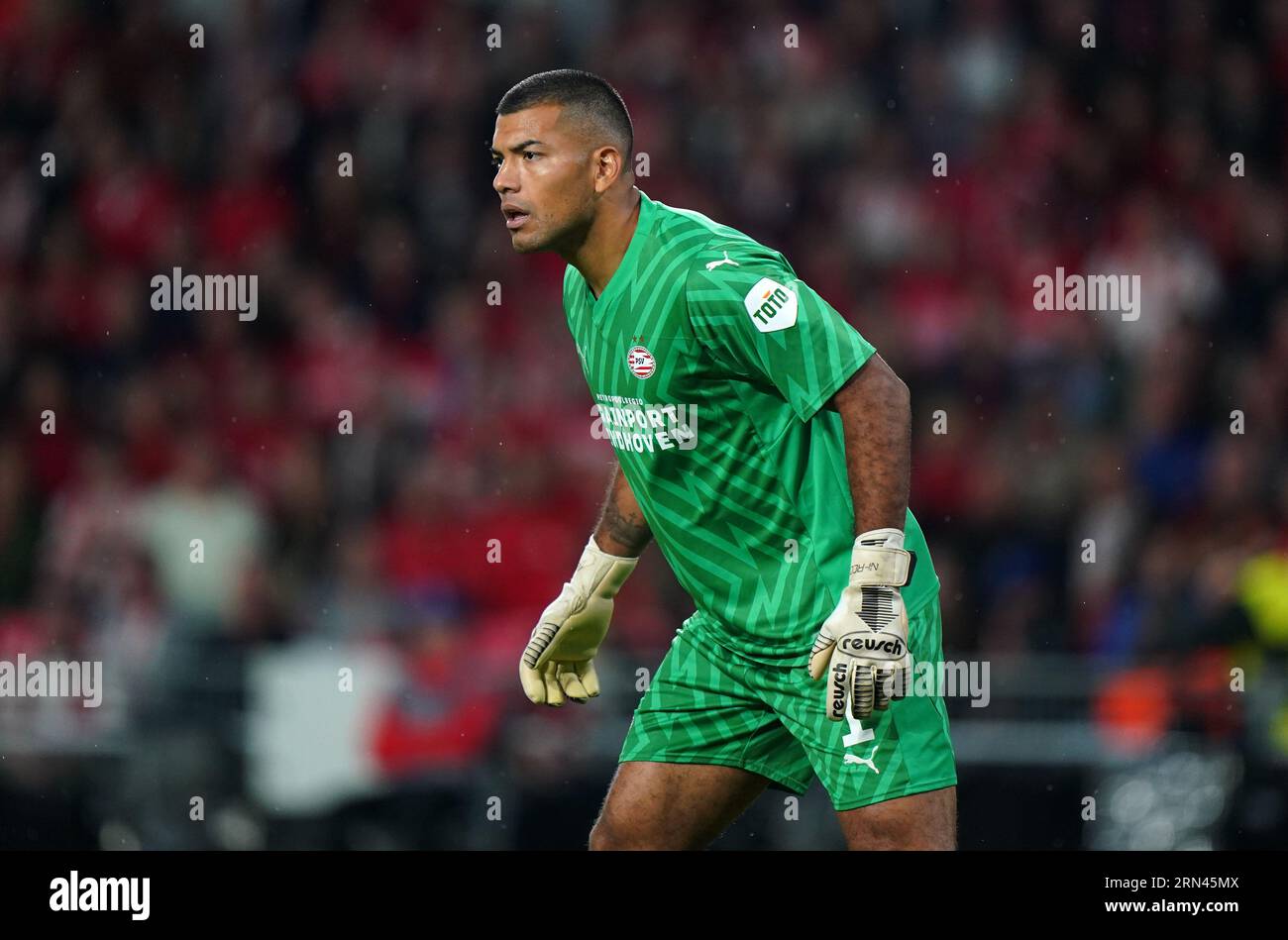 PSV Eindhoven goalkeeper Walter Benitez during the UEFA Champions ...