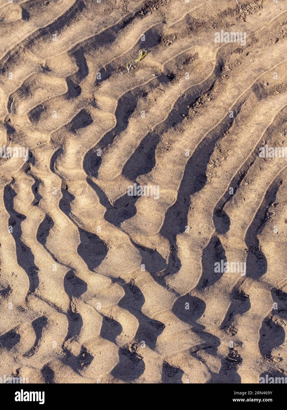 Sand Patterns, Mawddach Estuary, Wales Stock Photo - Alamy