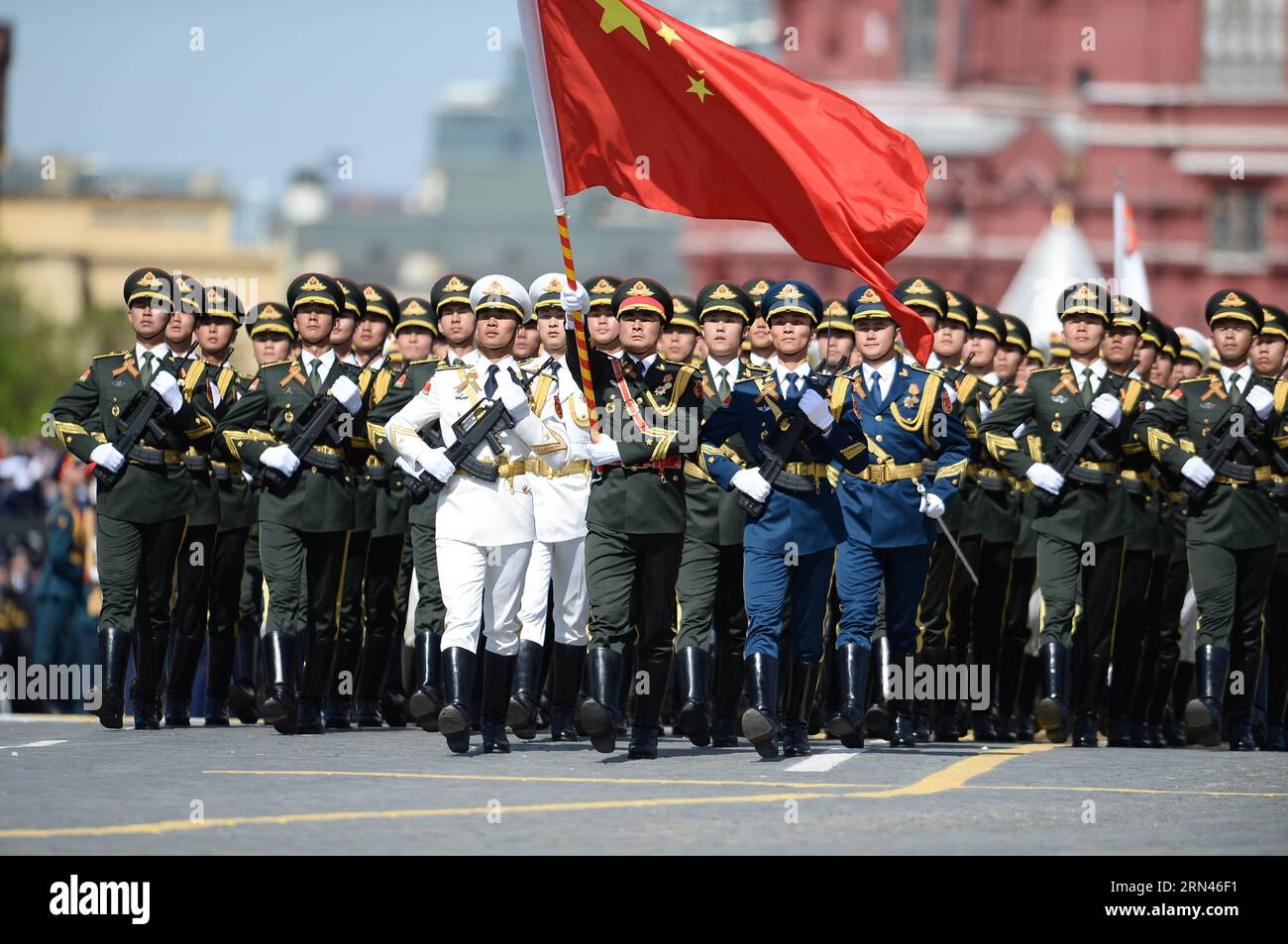 Paradechinaplahonor hi-res stock photography and images - Alamy