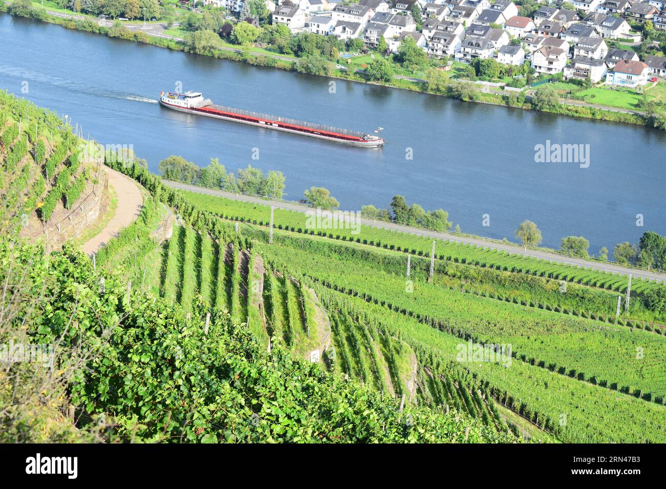 Cargo ship in mosel hi-res stock photography and images - Alamy
