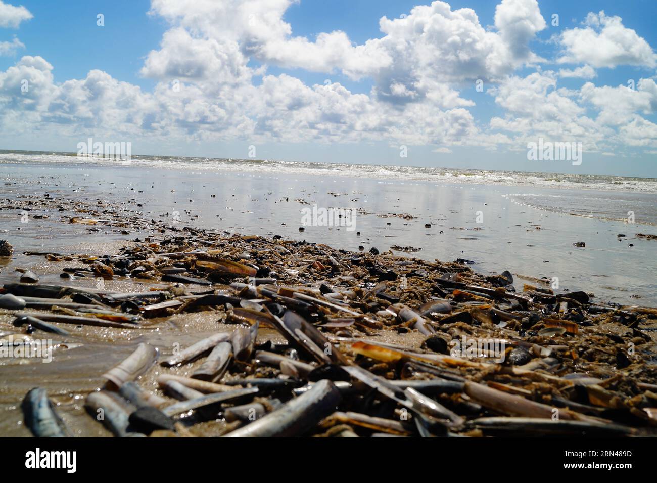 Impressions of the endless beach at the northern sea in Blavand Denmark ...