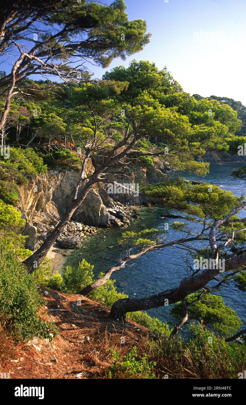 Peninsula of Giens Var Provence Stock Photo - Alamy