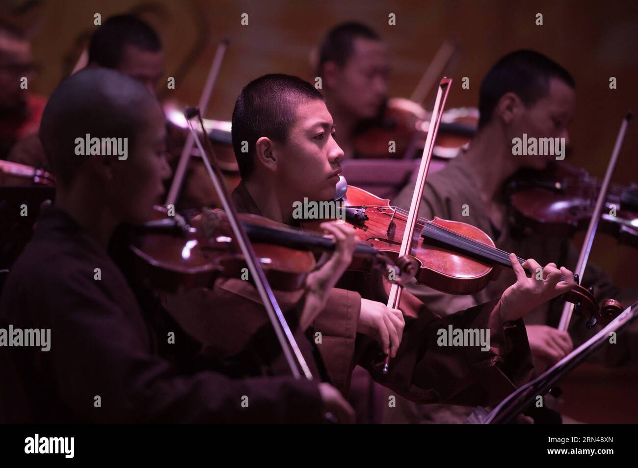 Orchetraprcice hi-res stock photography and images - Alamy