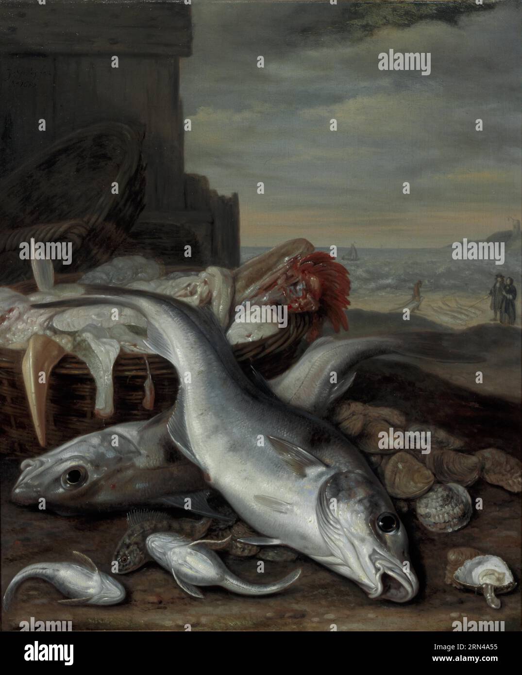 Dode vissen hi-res stock photography and images - Alamy