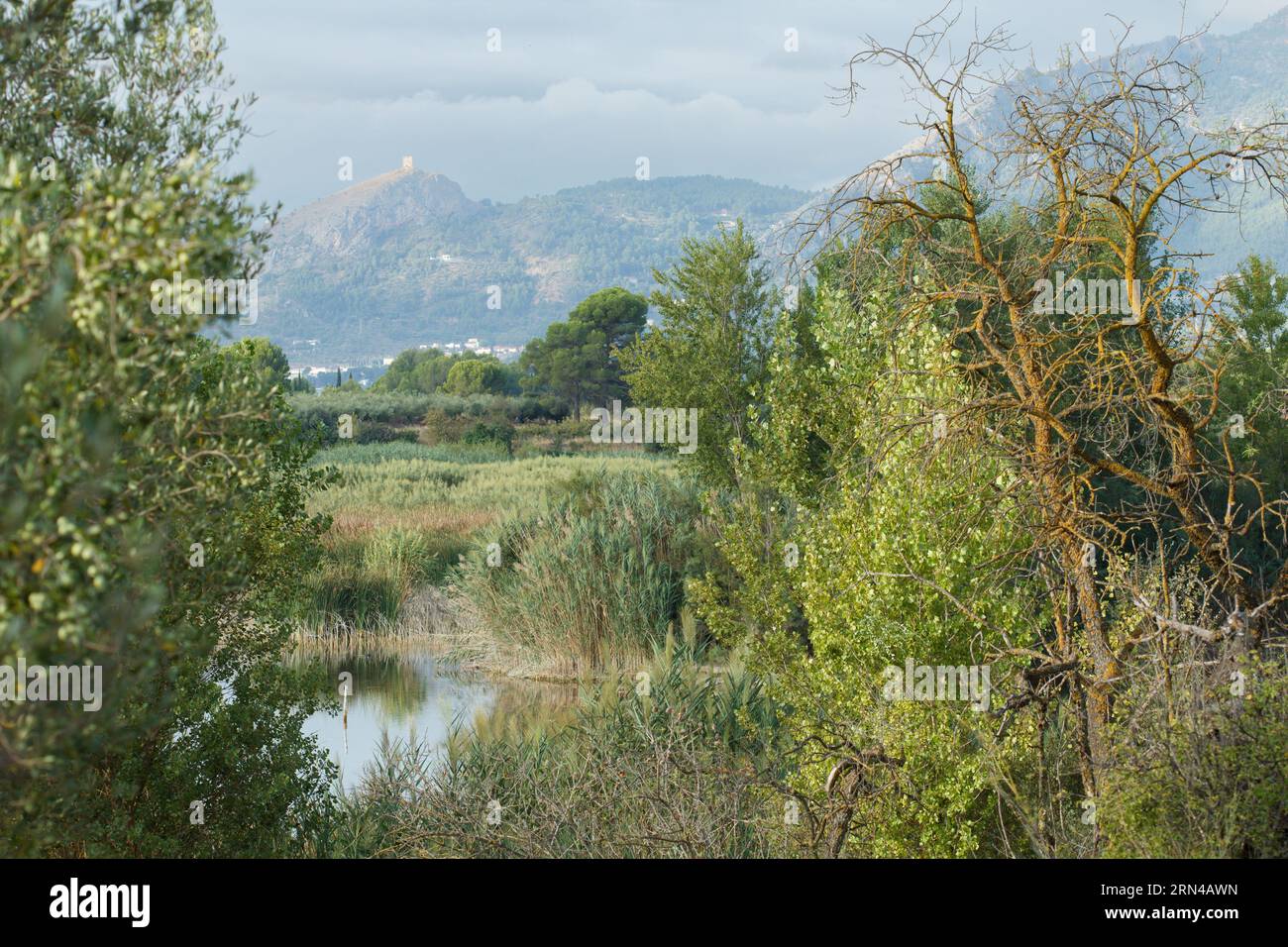 Landscape of the Gaianes lagoon with the Cocentaina mountains in the ...