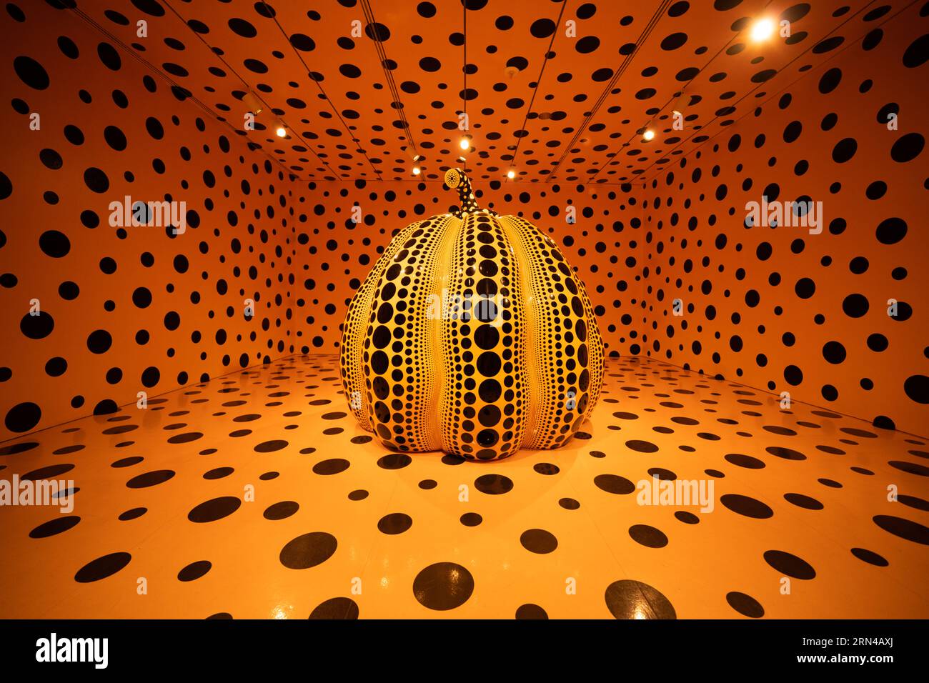 WASHINGTON D.C., United States — Wide-angle photo of The Pumpkin room ...