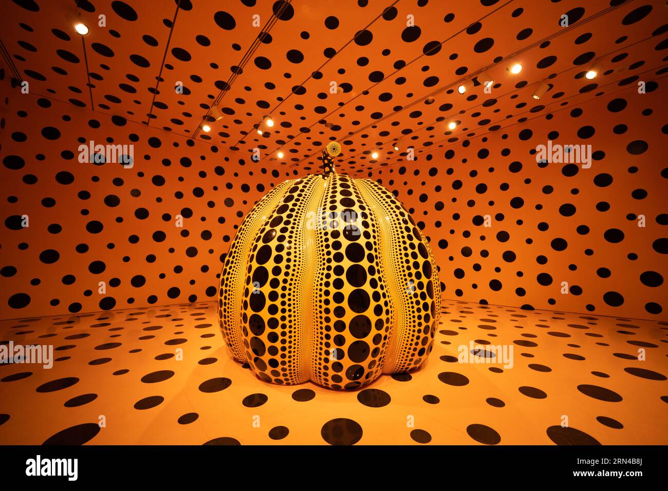 WASHINGTON D.C., United States — Wide-angle photo of The Pumpkin room ...