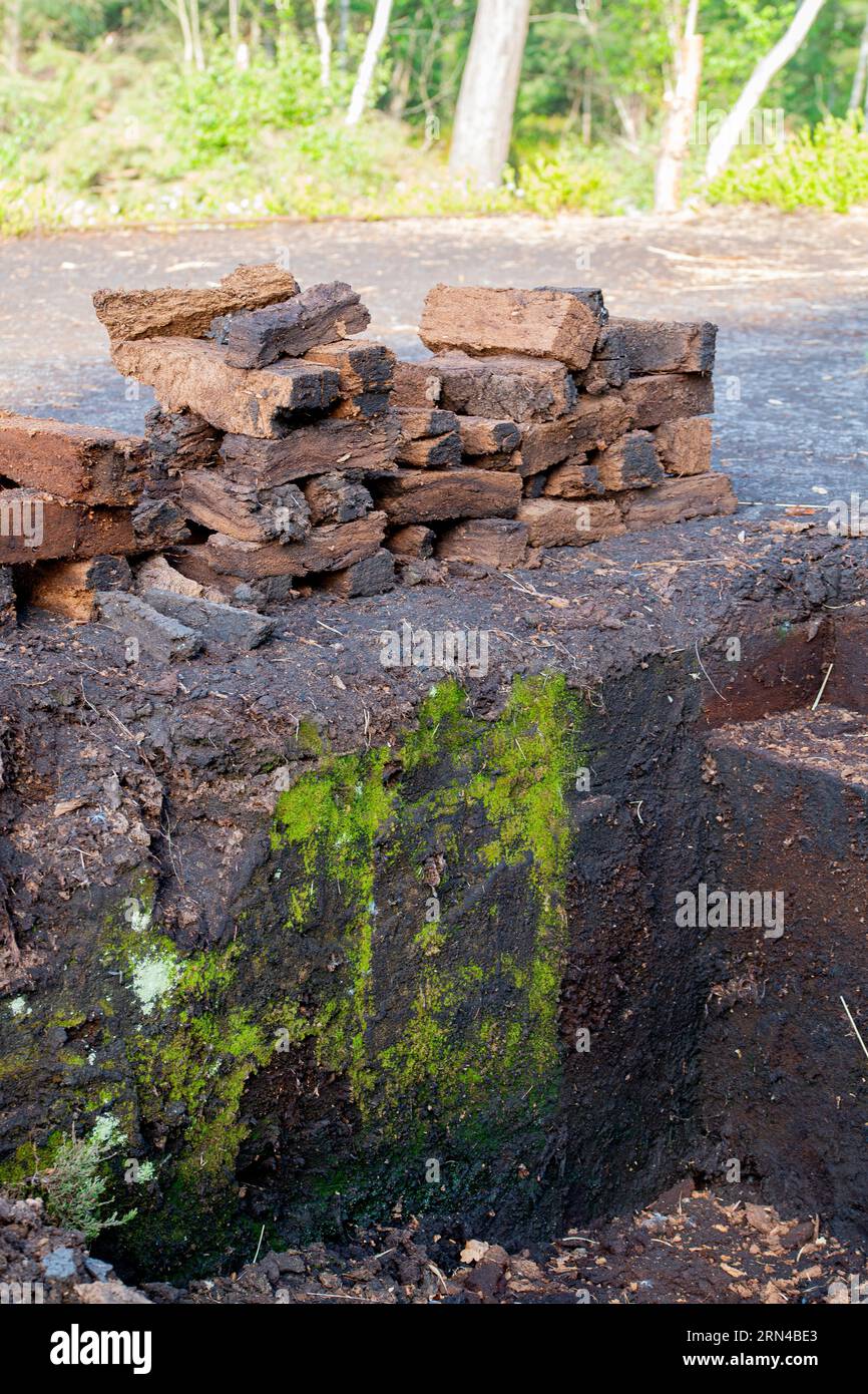 Hand peat stitch, peat sods lie in the sun next to the stitch to dry ...