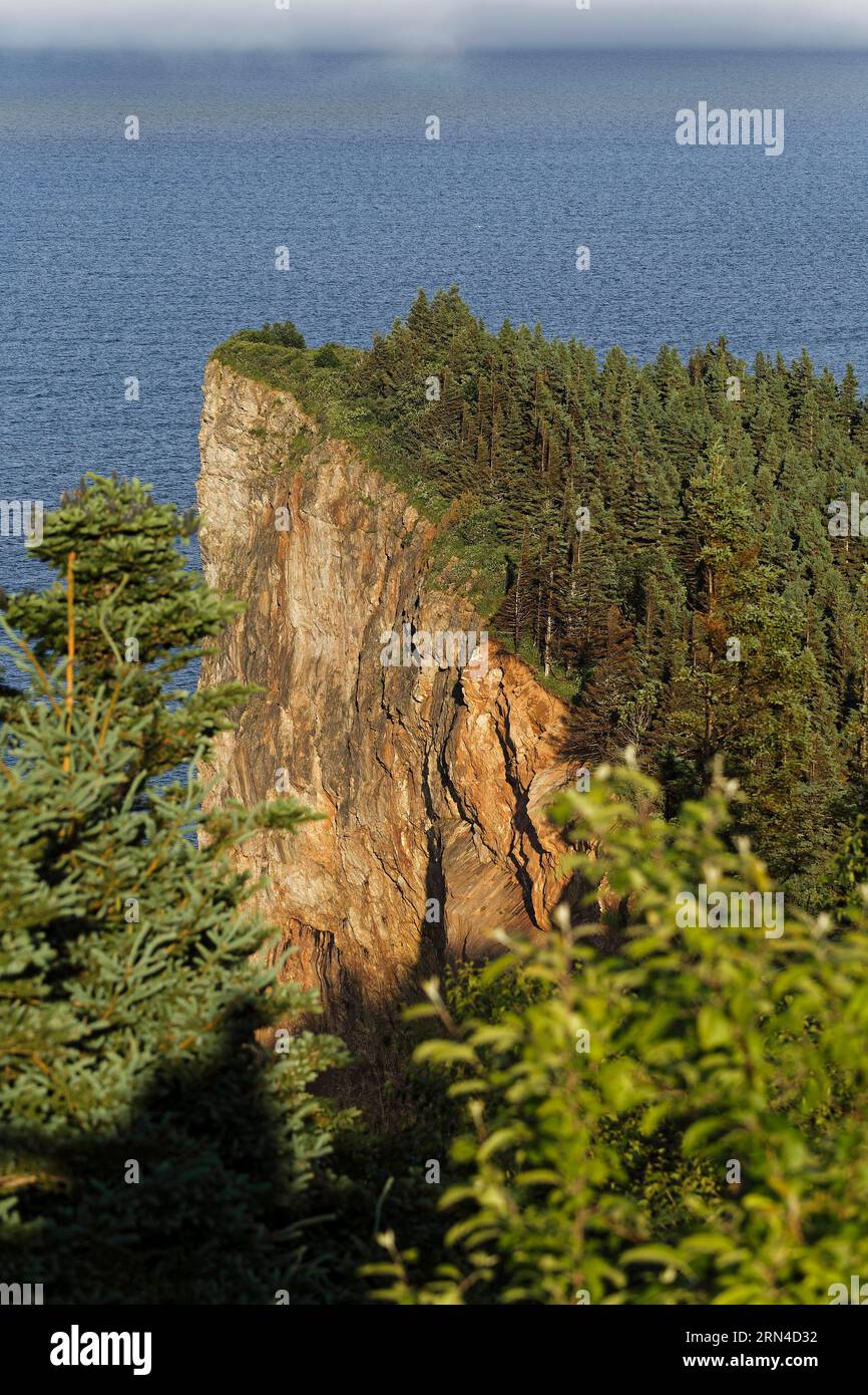 Steep cliff, Pic Aurore, Perce, Gulf of Saint Lawrence, Province of ...